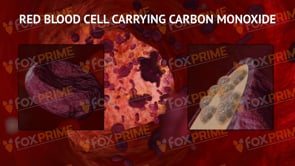 Red Blood Cells - Carbon Monoxide (Animation) – FoxPrime